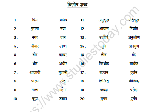 opposite-words-in-hindi-for-class-3-cbse-amber-mclean-s-english